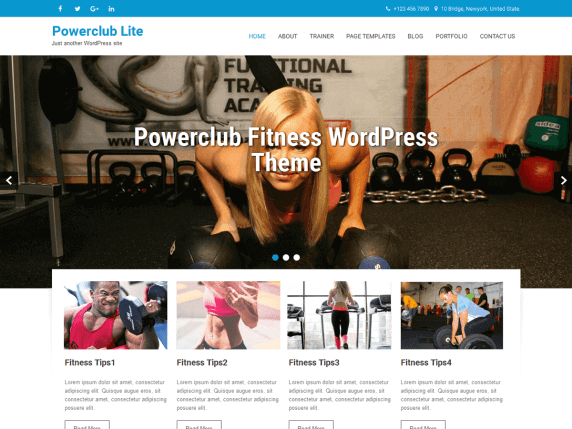 10 Best Free Gym WordPress Themes In 2022 | Articoolz